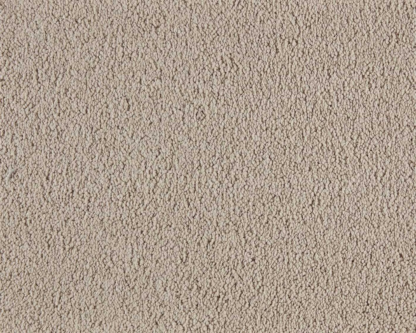 SmartStrand Carpet | Boheme - 240 Cream | Higherground