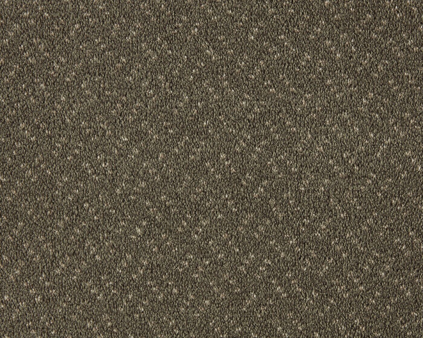 Patterned Carpet | Contemporary and elegant | Higherground