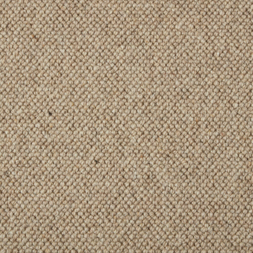 Loop pile Carpet | Thick and durable | Higherground