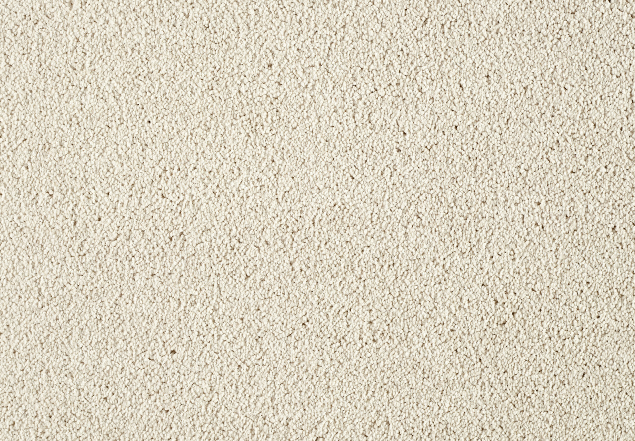 SmartStrand Carpet | Lounge - 251 Magnolia 1 | Higherground